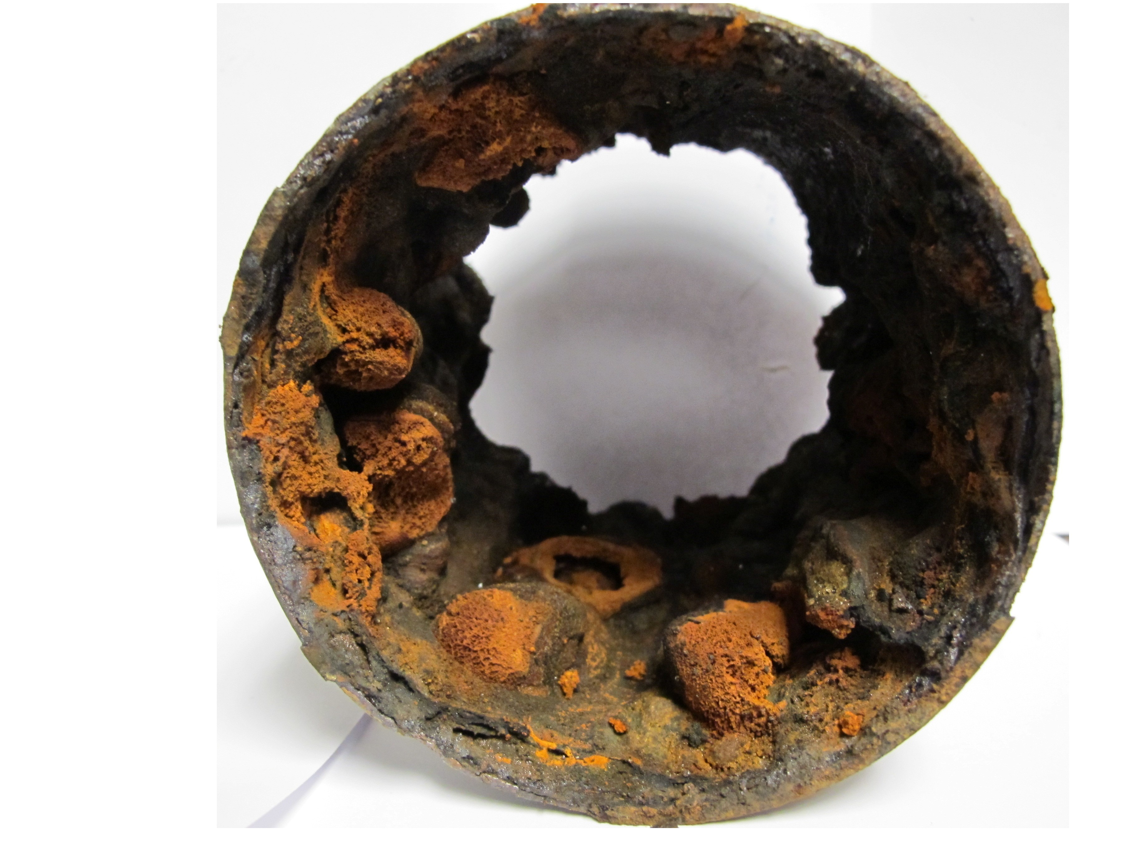 Identifying Microbes - Sprinkler Age