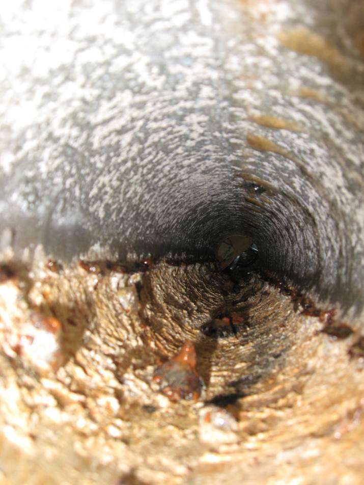 Galvanized Steel Sprinkler Piping - Sprinkler Age